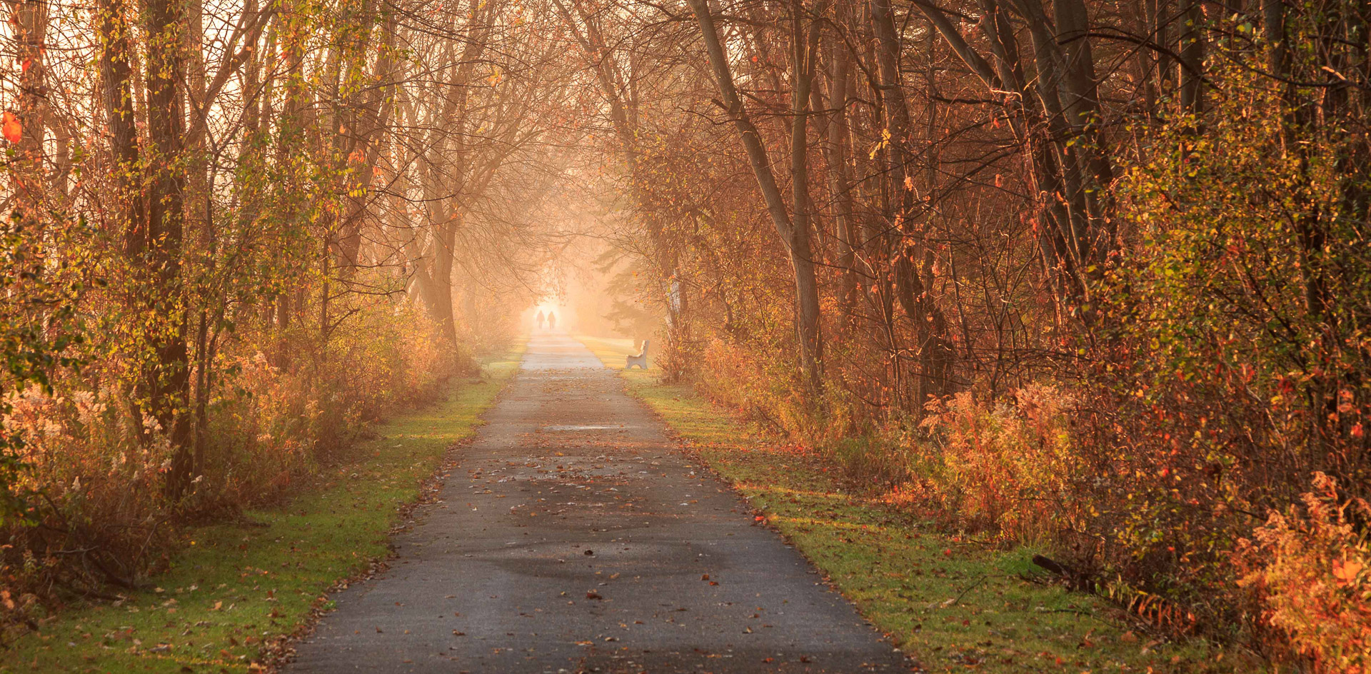Destination Finder - Fall | Michigan