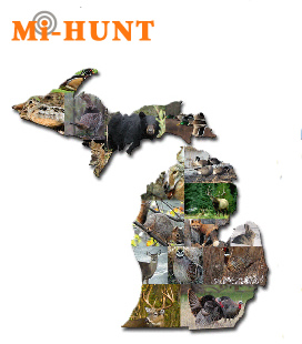 Find the Perfect Fall Hunting Spot with DNR's Interactive Online ...