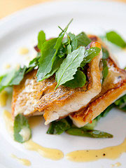 The Cooks House | Michigan