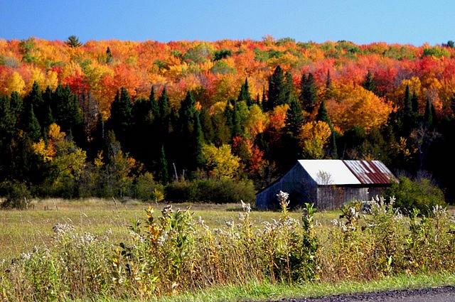 Mid-Michigan County Road Agencies Release “Don’t Miss” List of Local ...