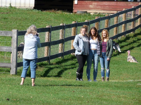 Turkeyville U.S.A. celebrates 50 years as an American icon. | Michigan