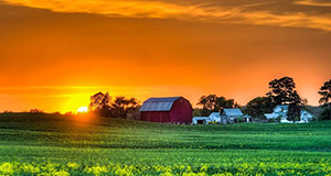 Springtime in Michigan Sizzles | Michigan