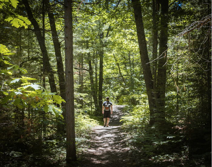 Trail Running: How to Hit Your Stride on Michigan Trails | Michigan