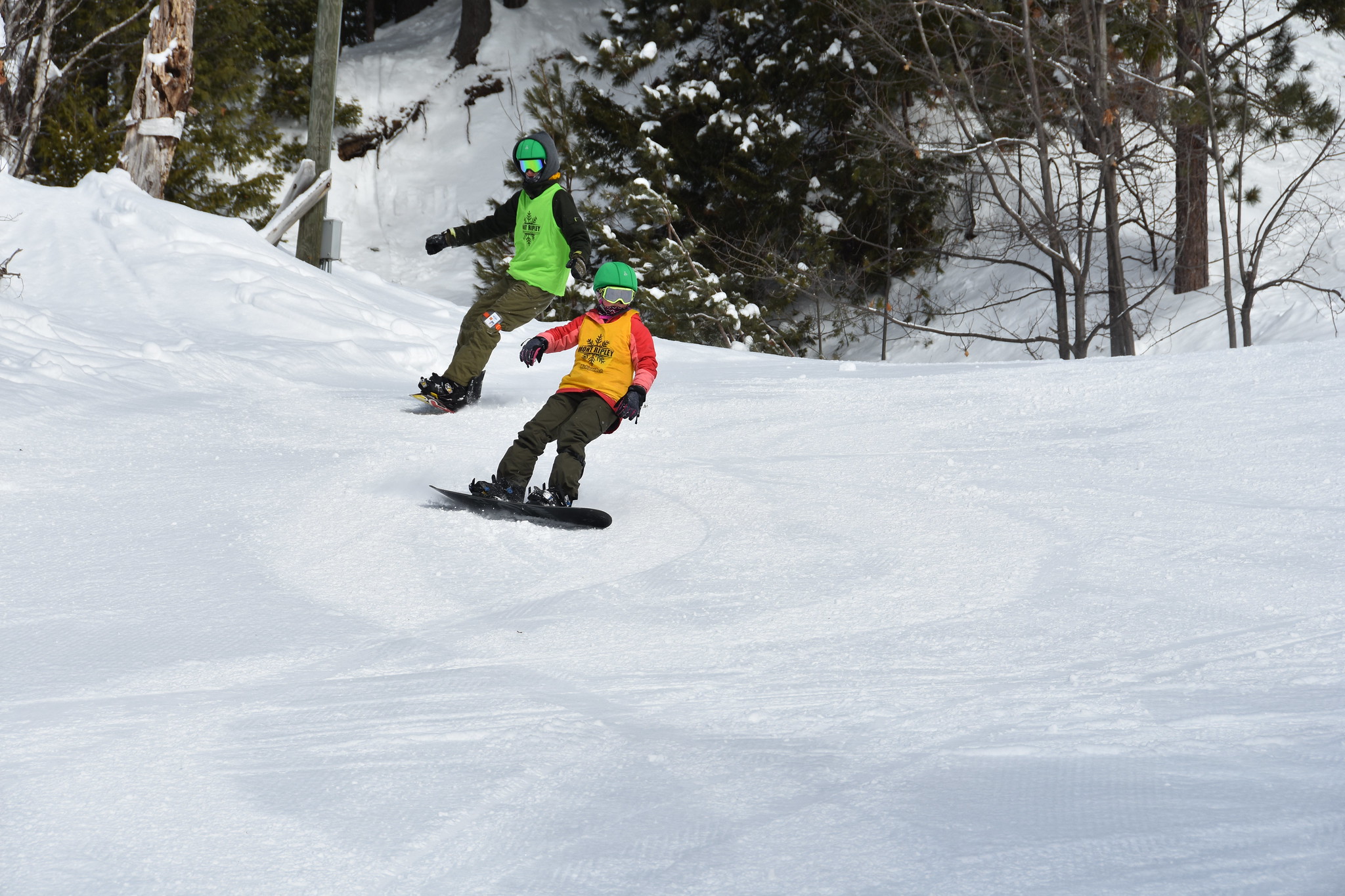 Deals & Packages | Michigan