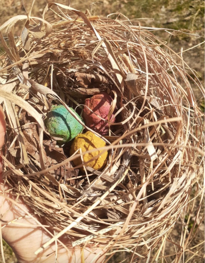 Children's Welcoming Spring Foraging Walk & Nature Craft at Gathered ...