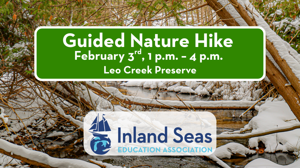 Guided Winter Nature Hike at Leo Creek Preserve | Michigan
