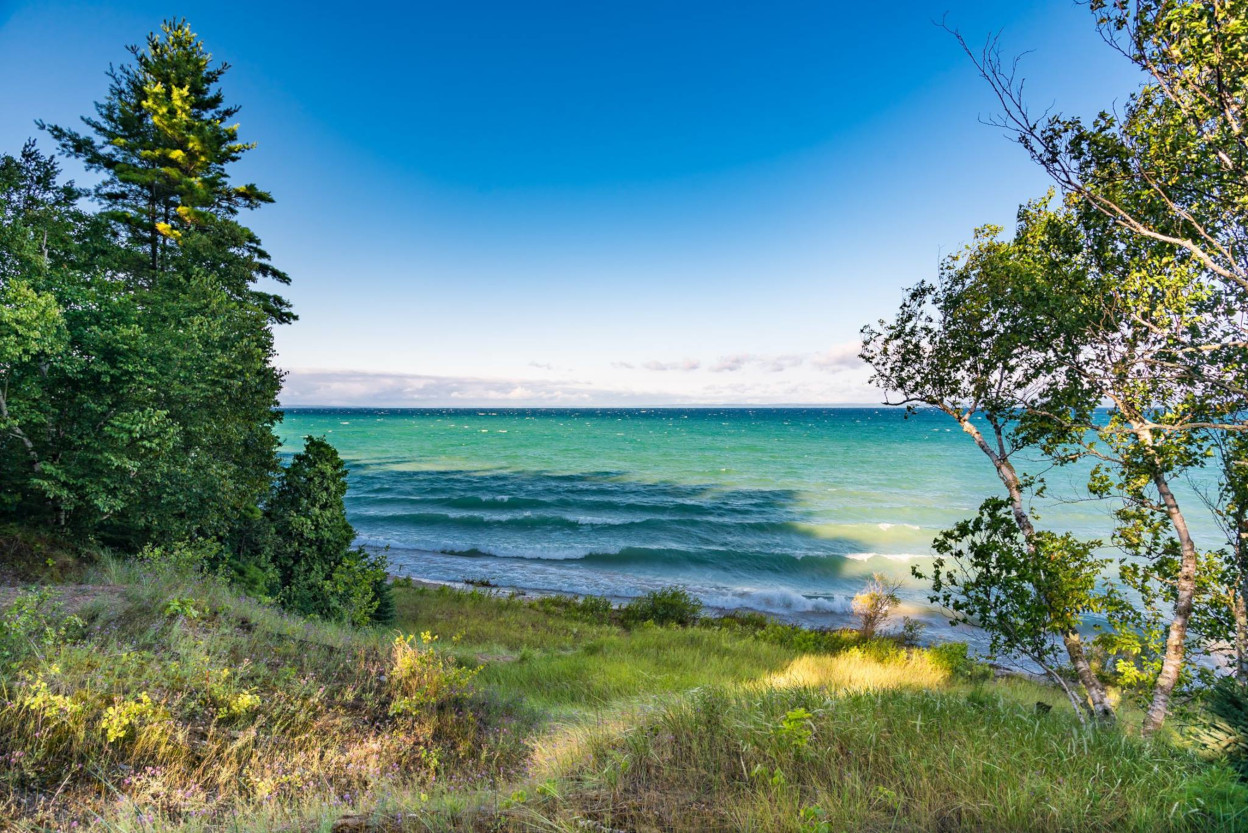 Barnes Park | Michigan