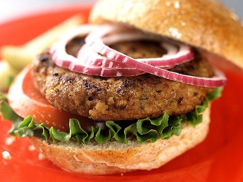 Gull Landing | Michigan