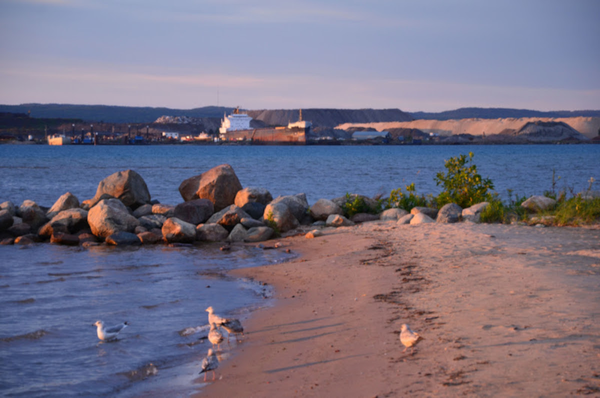 Sherman Park | Michigan