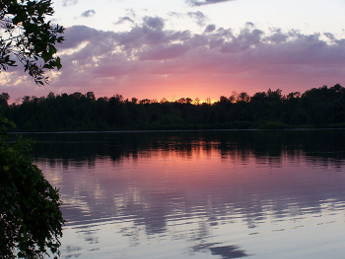 Rifle River Recreation Area | Michigan