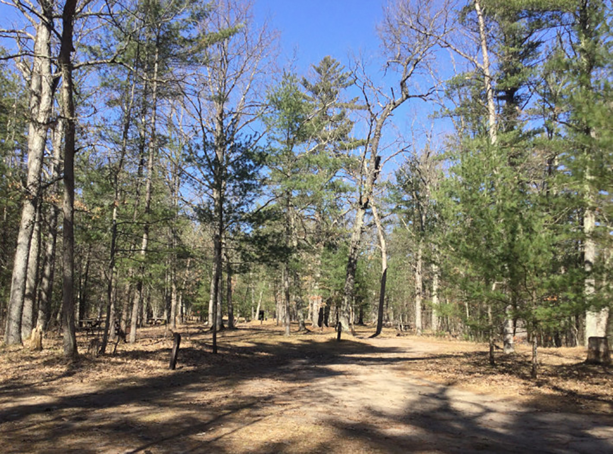 Bray Creek State Forest Campground | Michigan
