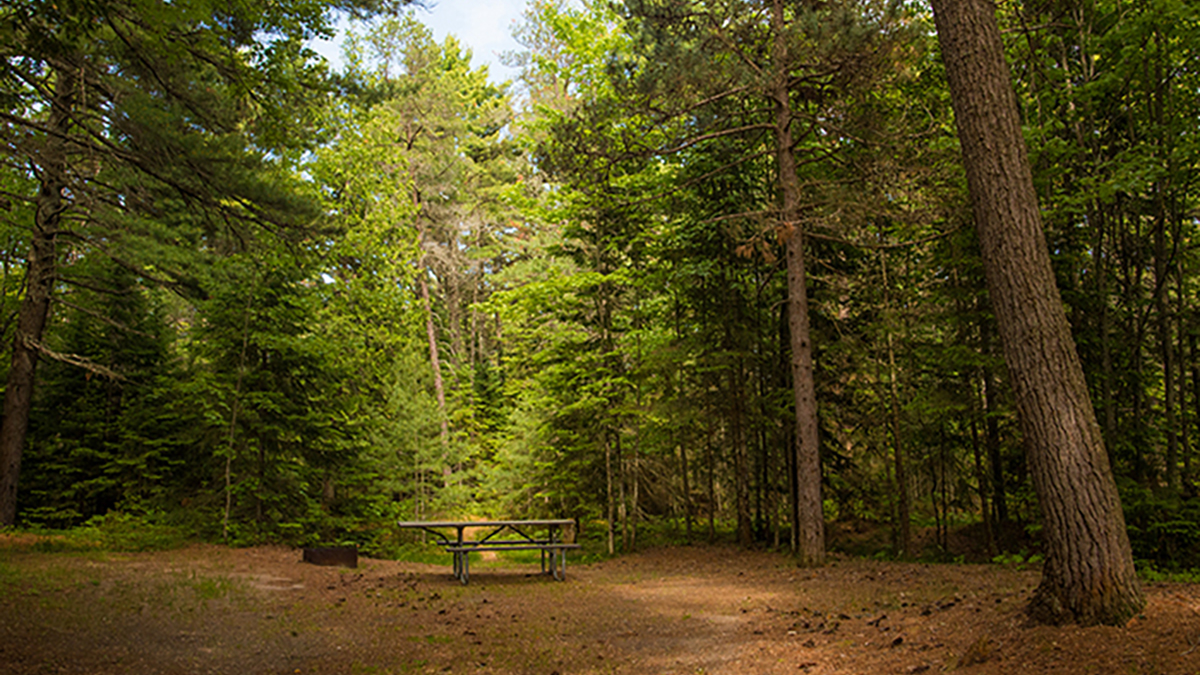 Big Knob State Forest Campground | Michigan