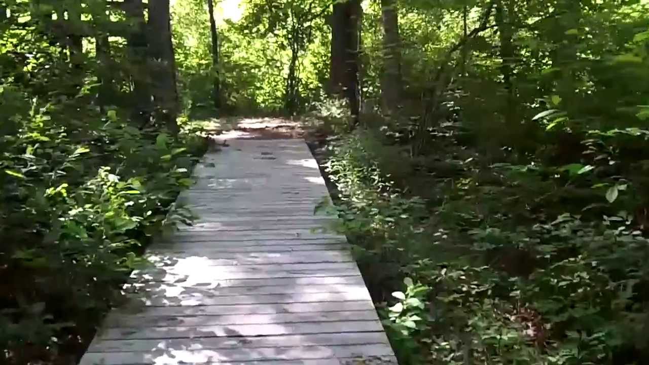 Price Nature Center | Michigan