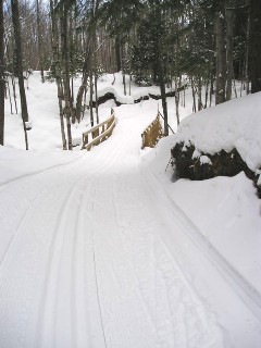 Chassell Classic Ski Trail | Michigan