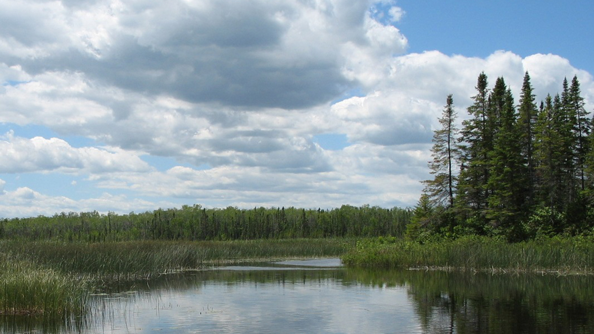 Thompson's Harbor State Park | Michigan