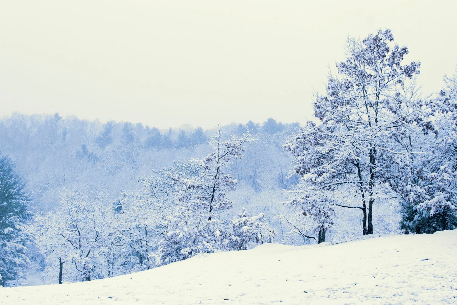 Provin Trails Park | Michigan