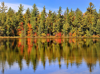 Lake Superior State Forest Campground | Michigan