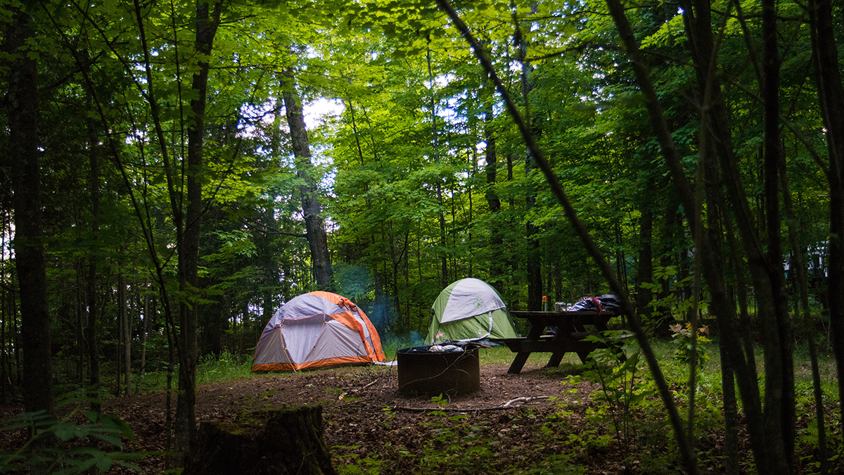 Milakokia Lake State Forest Campground | Michigan