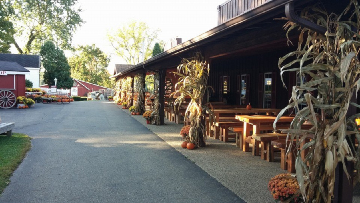 Cornwell's Turkeyville, USA | Michigan
