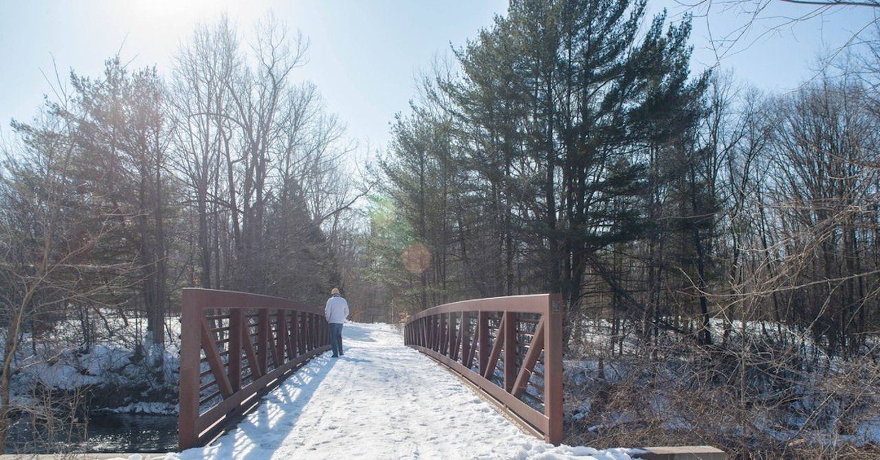 Deerfield Nature Park | Michigan