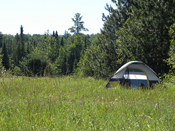 Wakeley Lake Foot Travel Area | Michigan