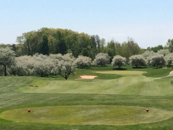 Moss Ridge Golf Club | Michigan