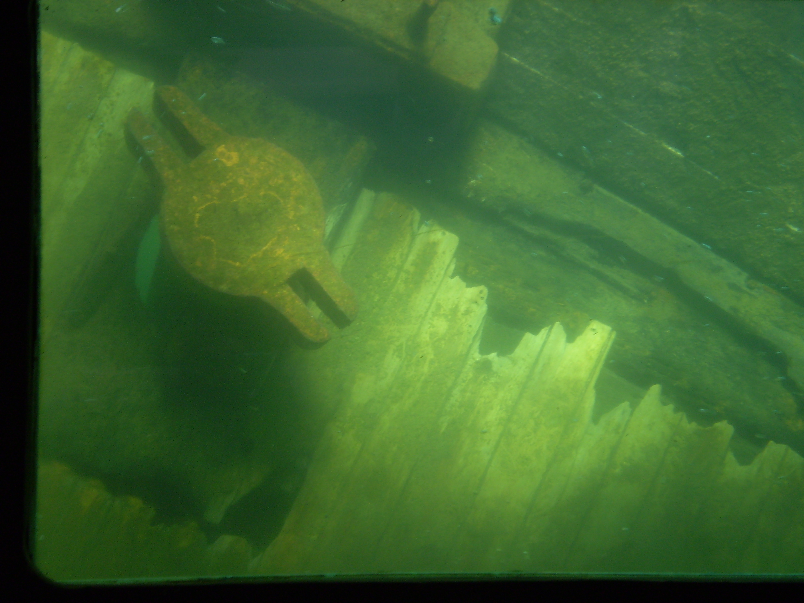 Glass Bottom Shipwreck Tours | Michigan