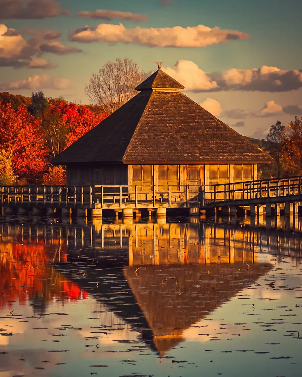Crosswinds Marsh | Michigan