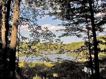 Reid Lake Foot Travel Area | Michigan