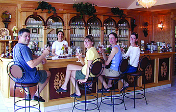 Contessa Wine Cellars | Michigan