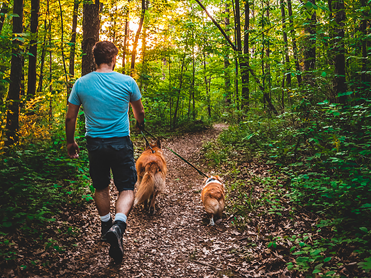 Ortonville Recreation Area | Michigan