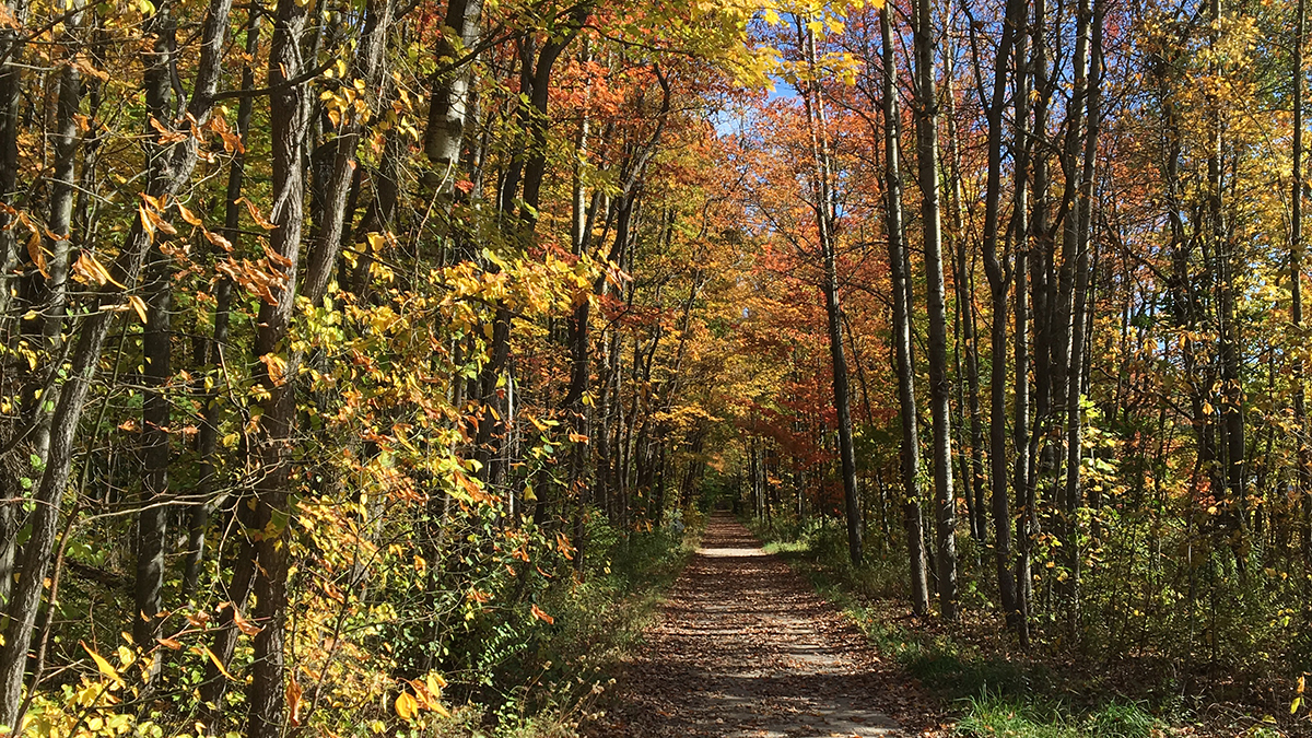 Kal-Haven Trail State Park | Michigan