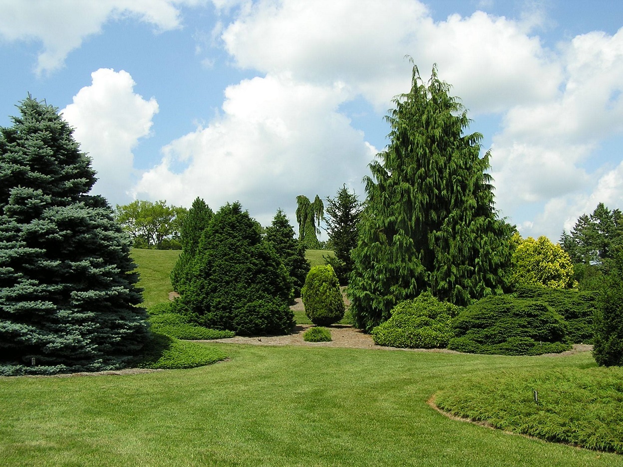 Hidden Lake Gardens | Michigan