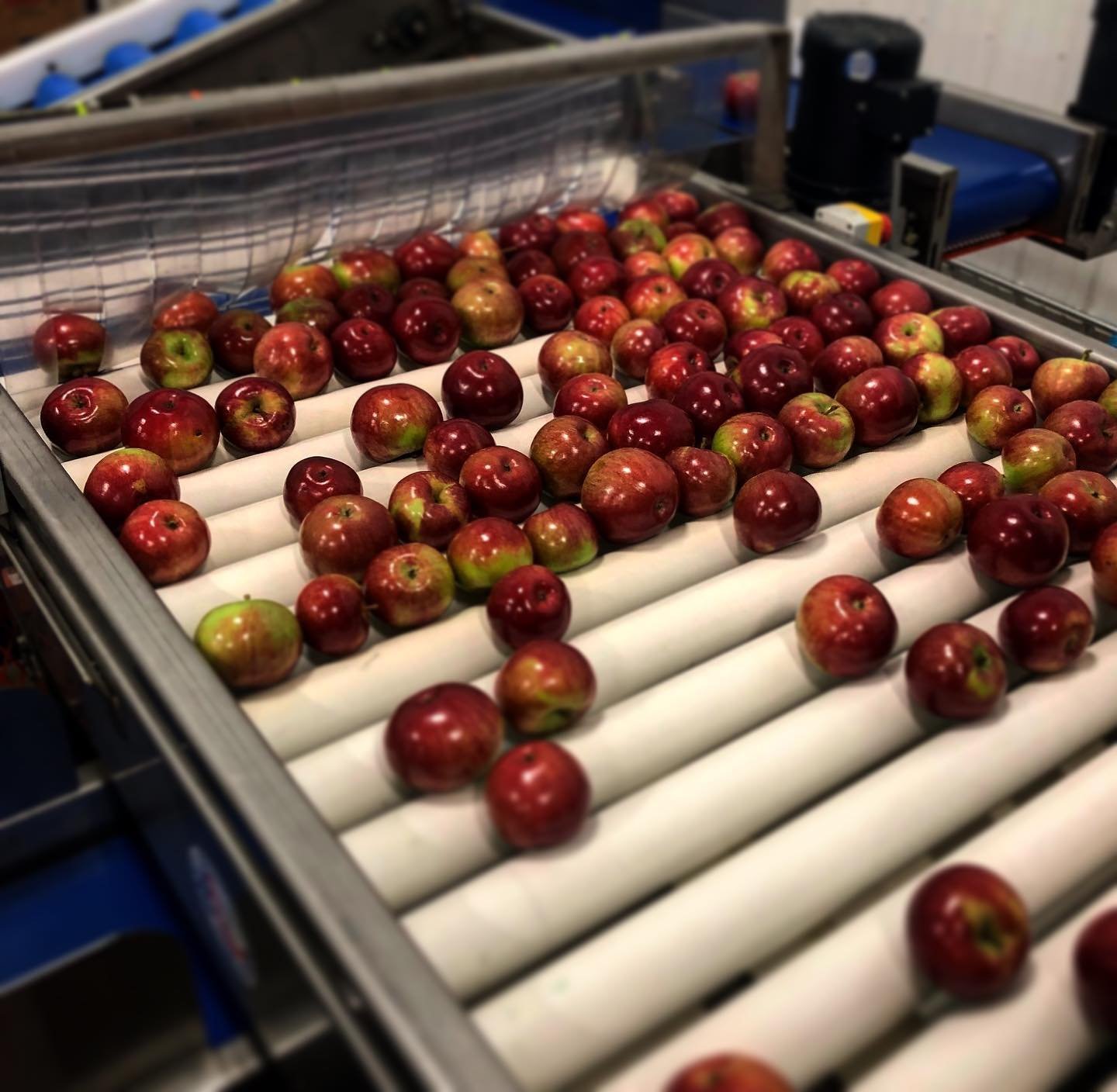 Robinette's Apple Haus & Winery | Michigan