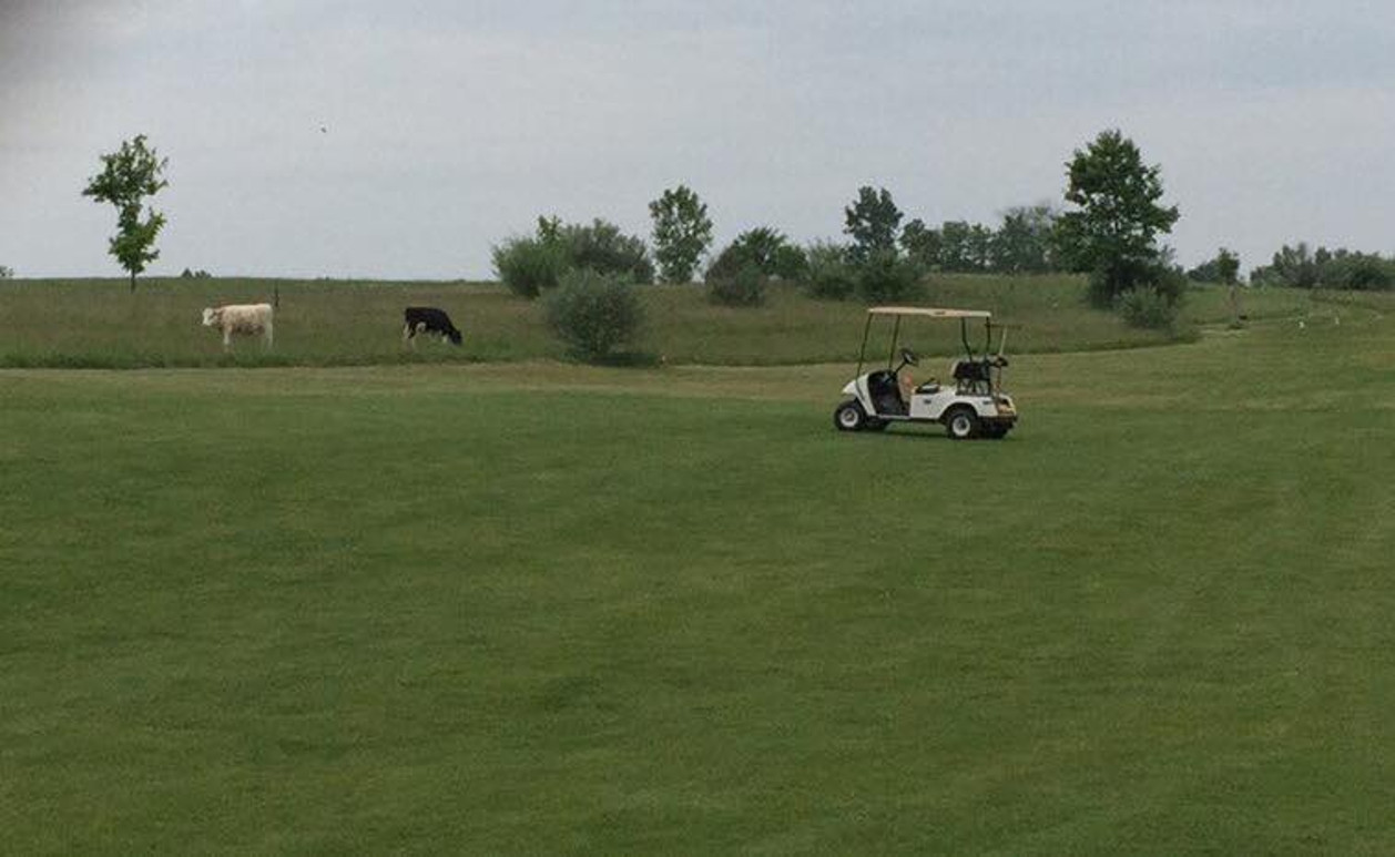 Double R Ranch Resort & Golf | Michigan