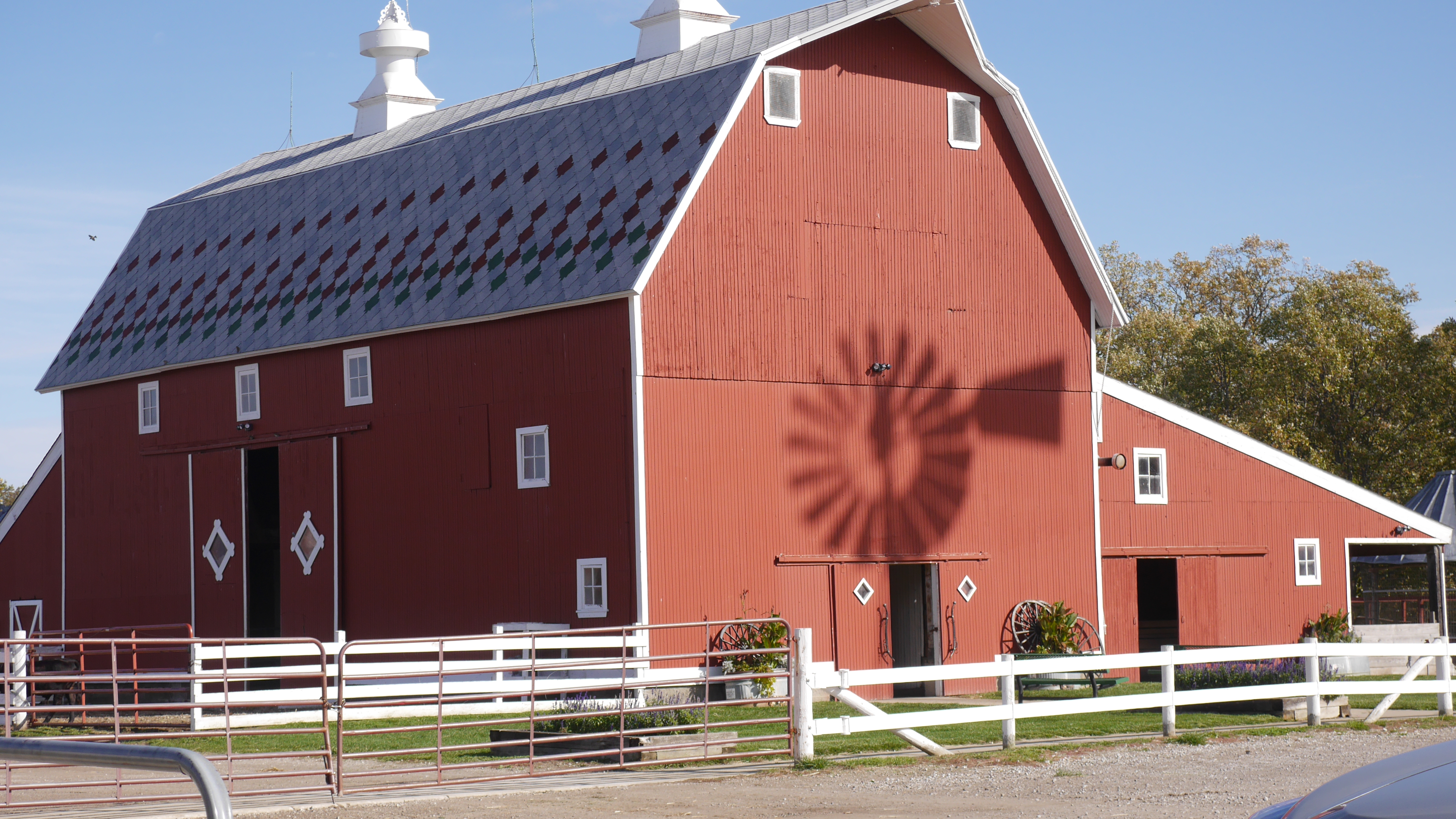 Domino's Farms Petting Farm | Michigan