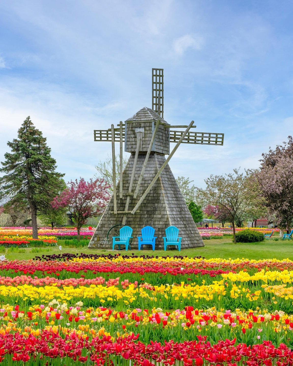Veldheer's Tulip Gardens | Michigan