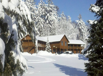 Northwoods Lodge | Michigan