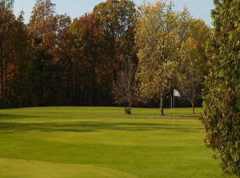 Vienna Greens Golf Course | Michigan
