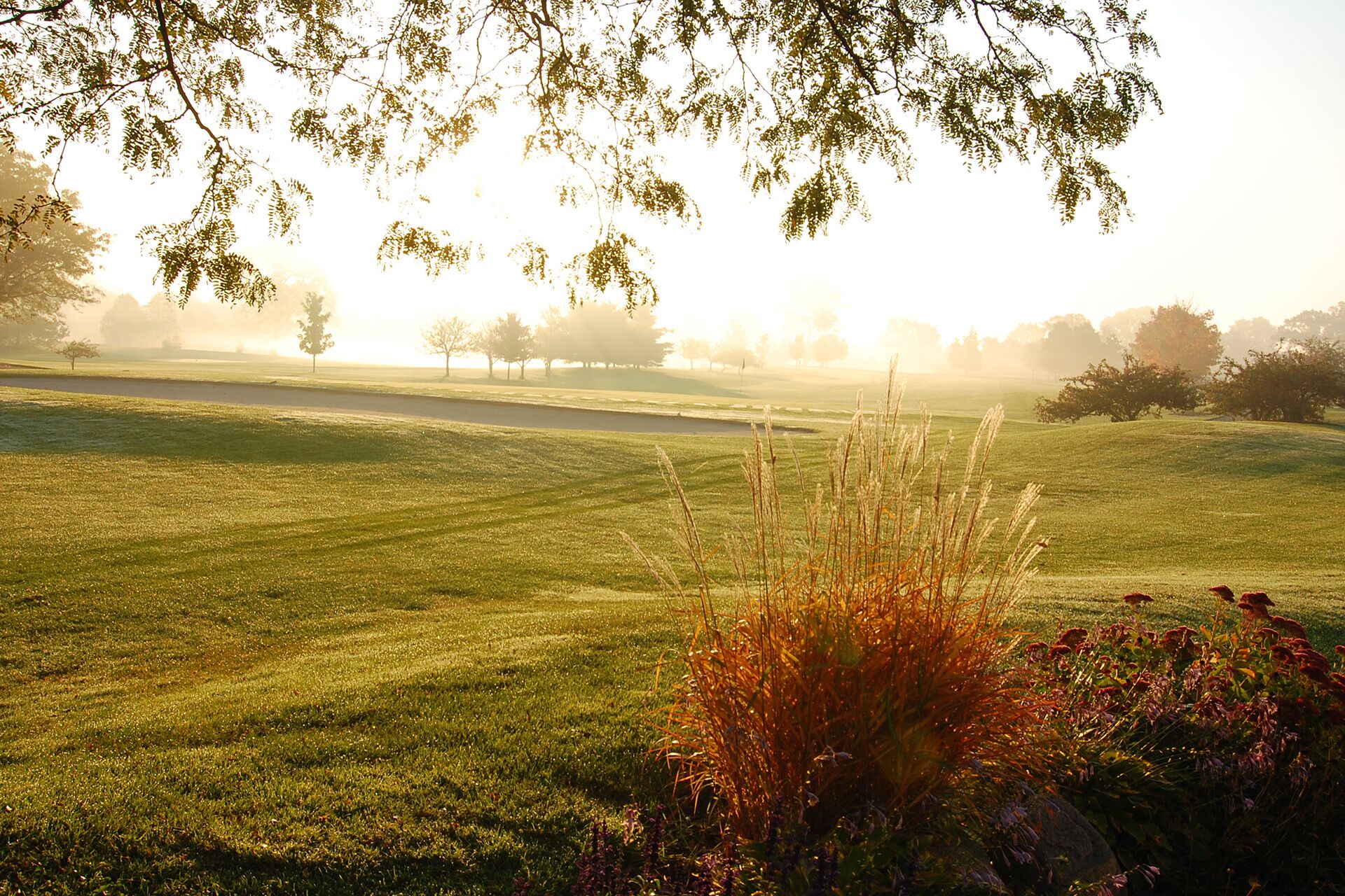 Hawk Meadows Golf Course | Michigan