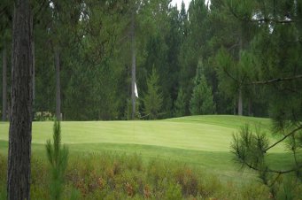 Northern Michigan Golf Course | Michigan