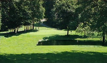 The Pines Golf Course | Michigan
