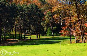 Ridgeview Golf Club | Michigan