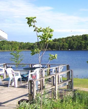 Cranberry Lake Campground | Michigan