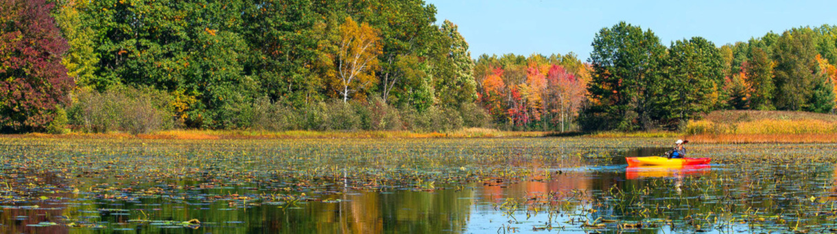 Haymarsh Lake State Game Area | Michigan