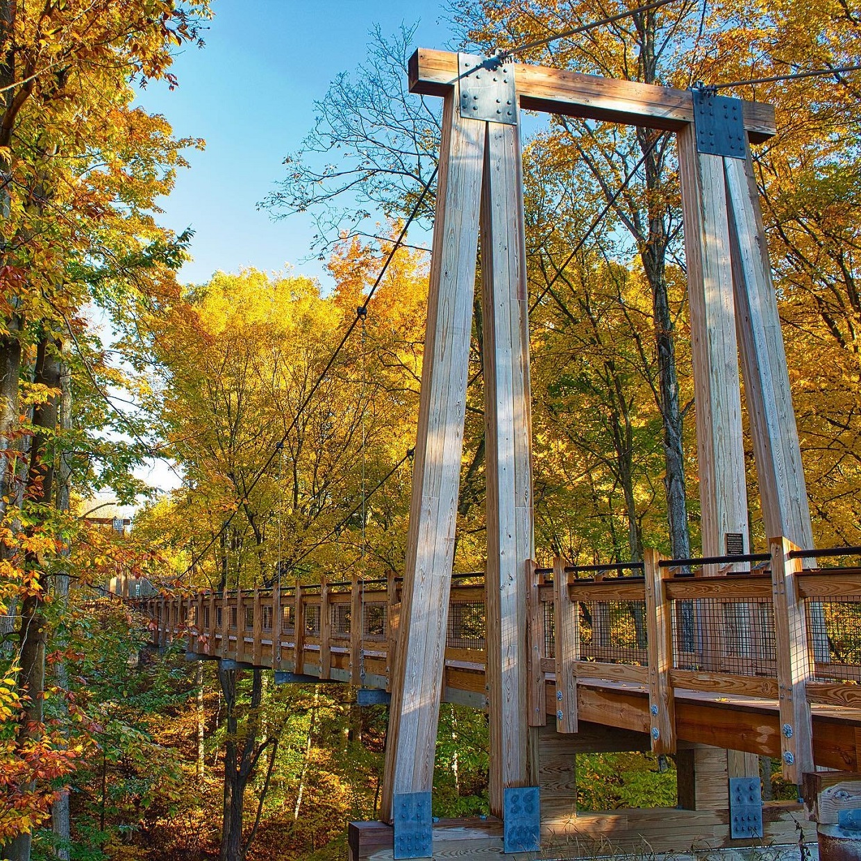 Grand Ravines North & South | Michigan