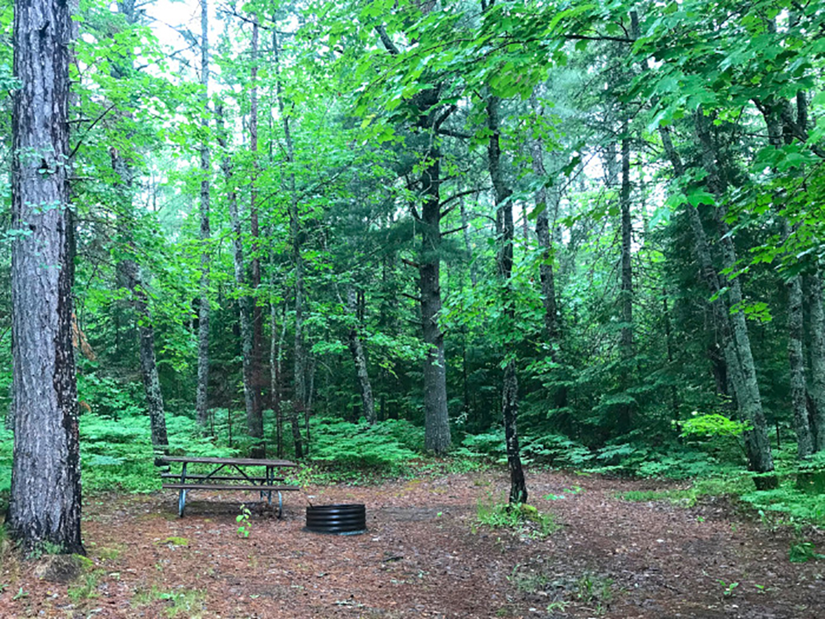 High Bridge State Forest Campground | Michigan