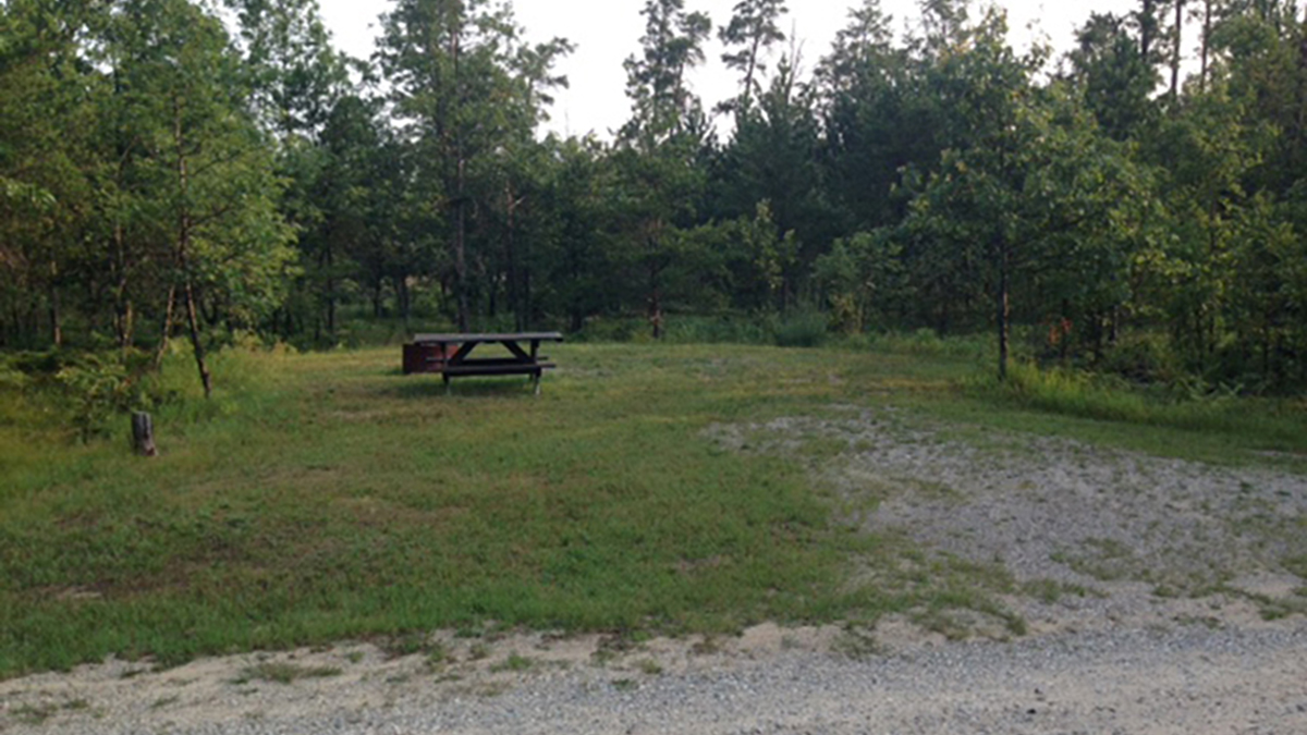 Canoe Harbor State Forest Campground | Michigan