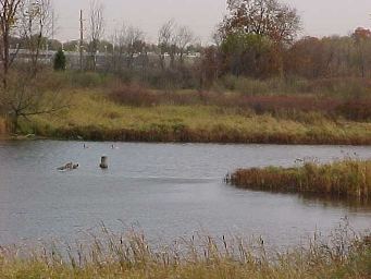 Prairies & Ponds of Oakdale | Michigan