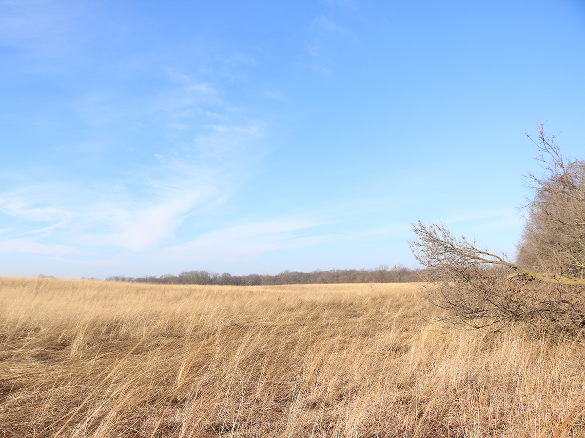 Coldwater Lake State Park | Michigan